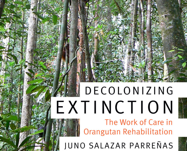 Join a reading group – Reading decoloniality