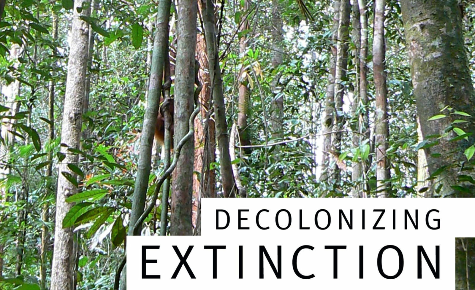 Critiques of decoloniality – Reading decoloniality